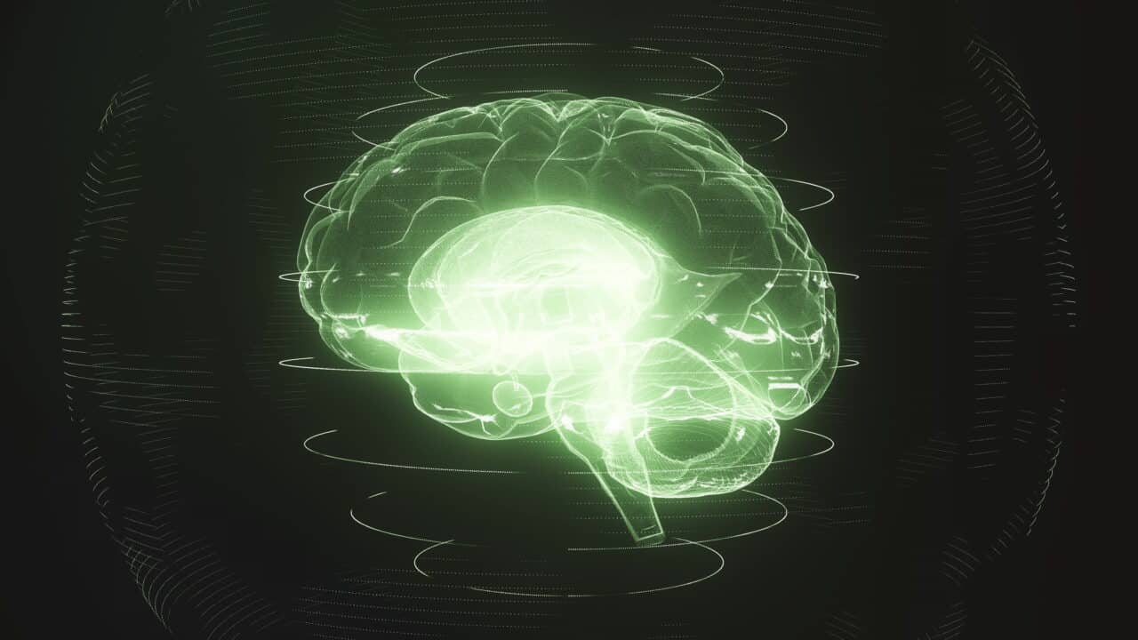 Neuroplasticity and Addiction - Hickory Treatment Centers