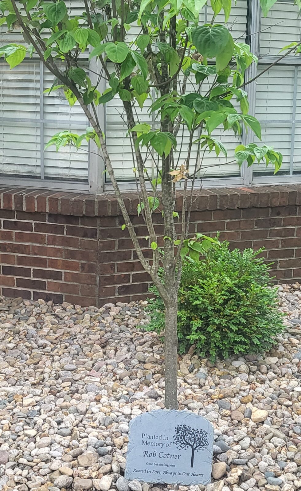 Remembering Robert Cotner: A Tribute to Compassion, Dedication, and ...